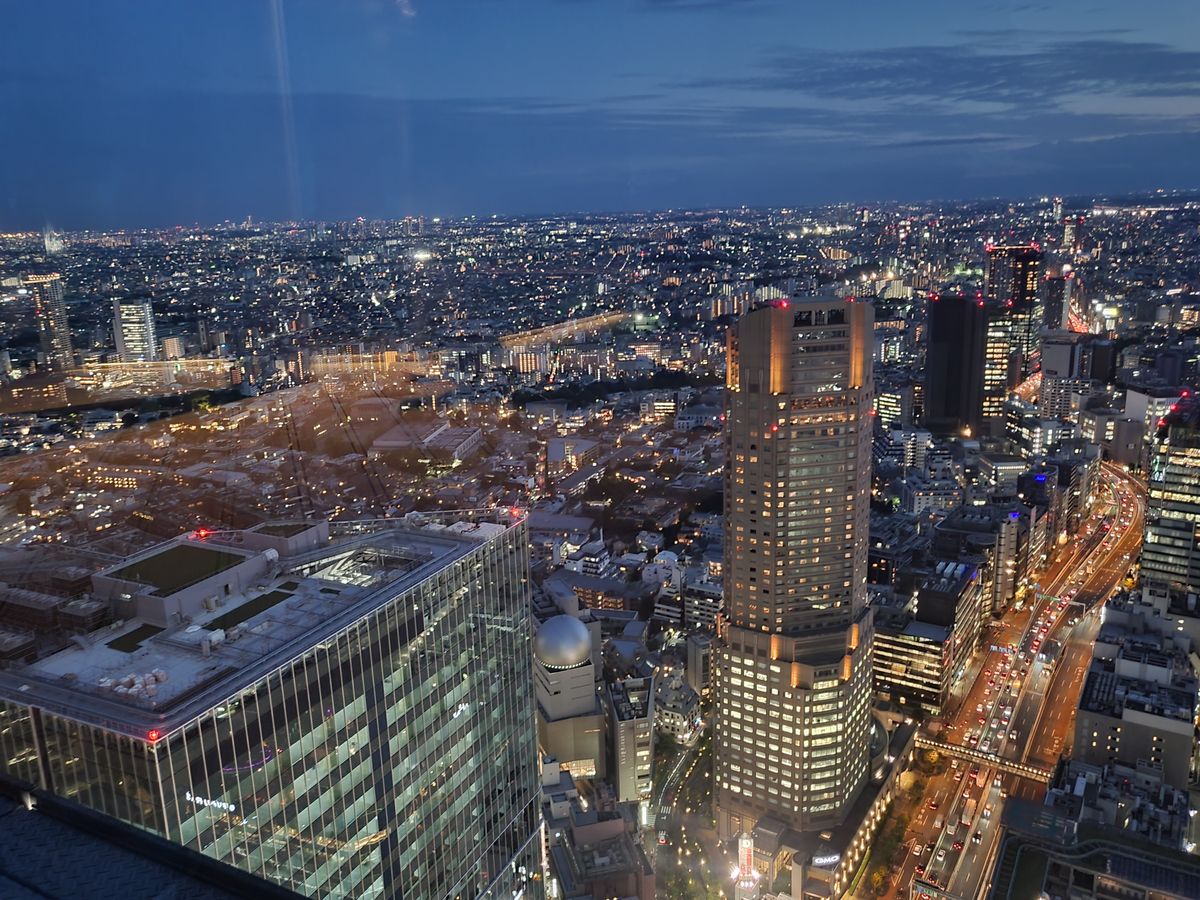 Melihat Keindahan Kota Tokyo dari Lantai 46 di Shibuya Sky